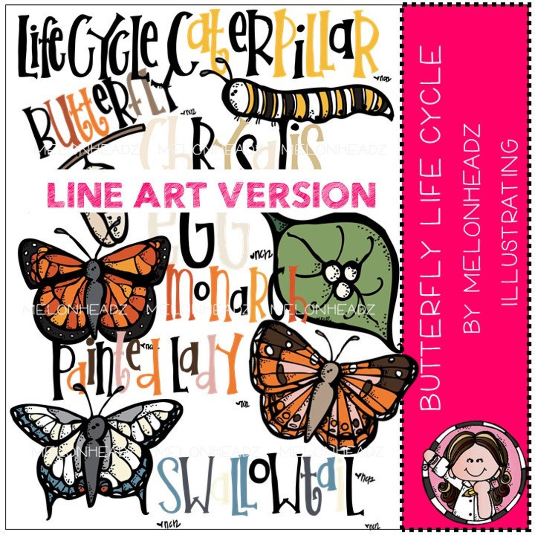 Butterfly Life Cycle Clip Art - LINE ART - Etsy