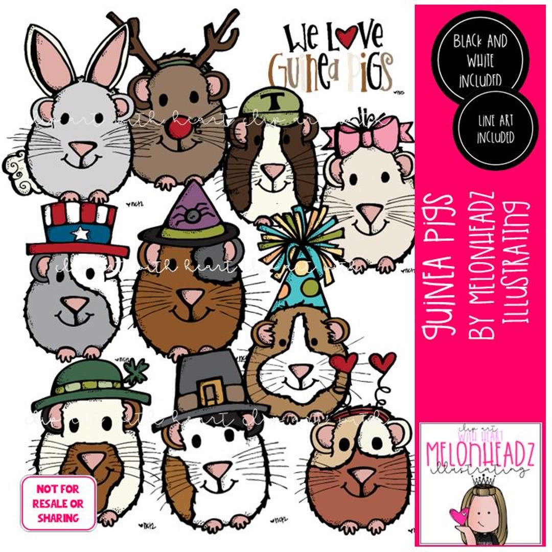 Guinea Pigs Clip Art Pet Clip Art COMBO PACK - Etsy