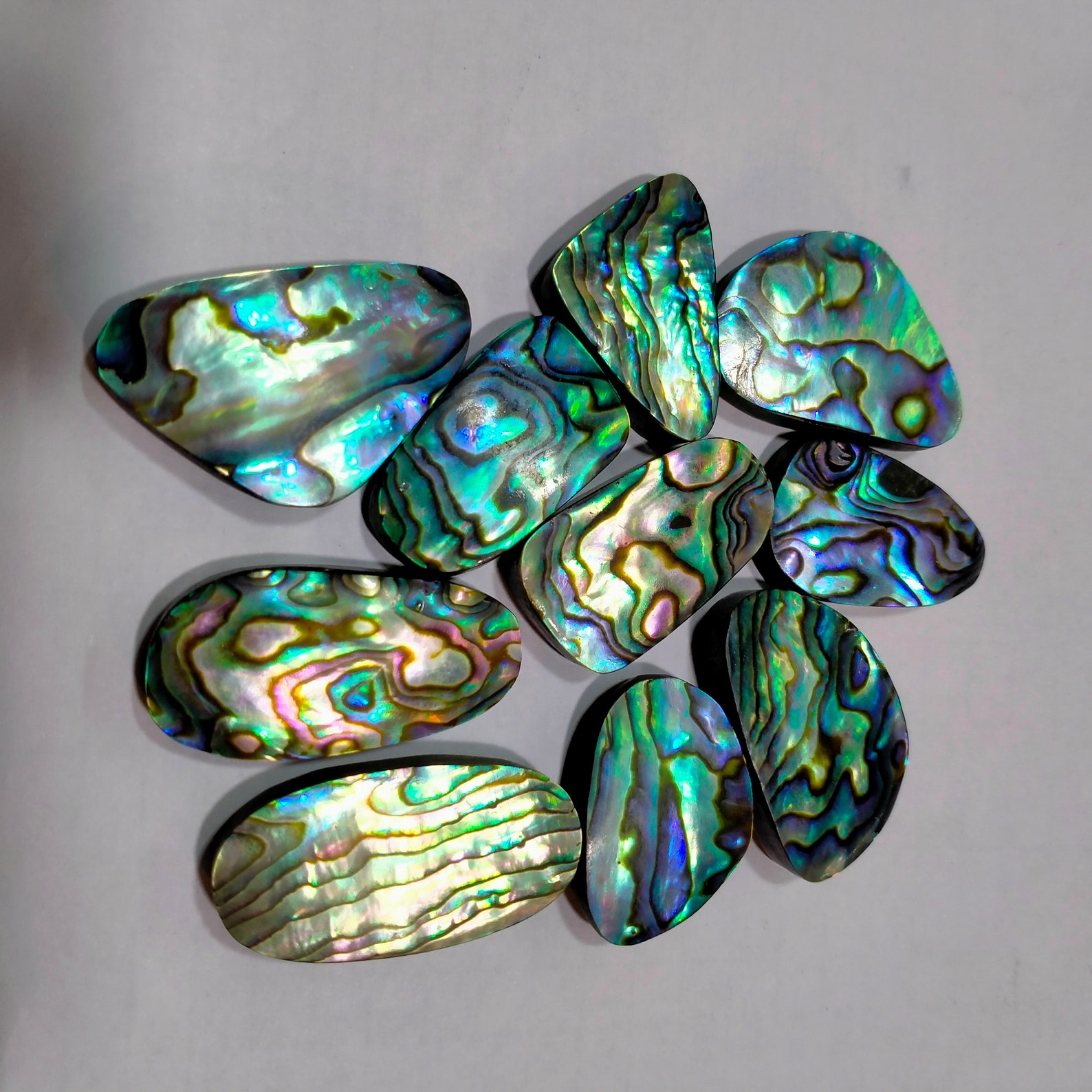 Abalone Shell // Abalone Shell Stone // 10 Piece Lot // | Etsy