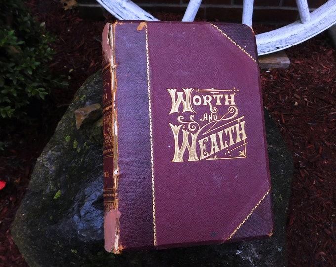 Vintage Worth and Wealth Book by T. L. Haines - 1884 - From ...