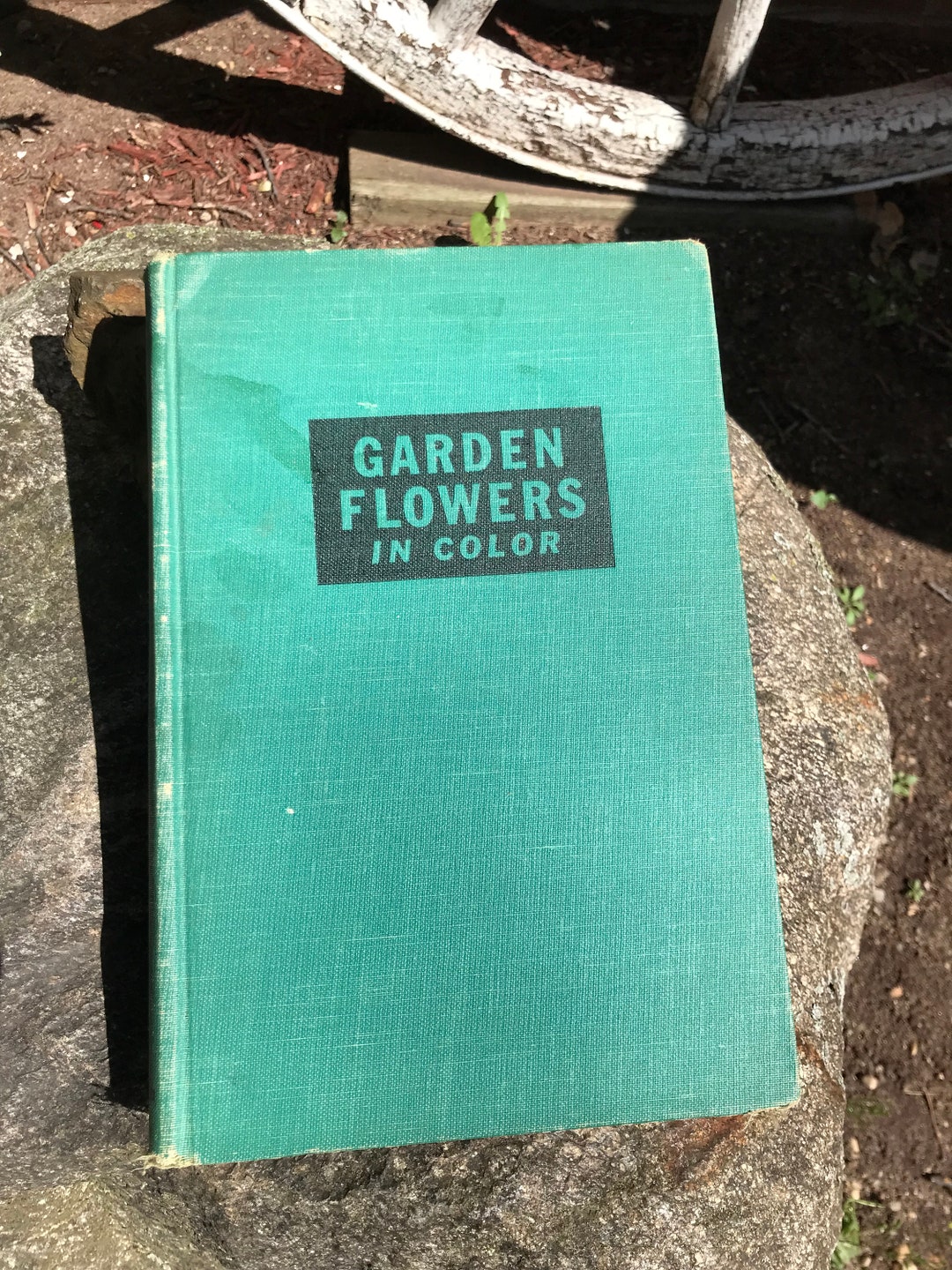 Vintage Garden Flower in Color by Daniel J Foley - 1944 - From ...