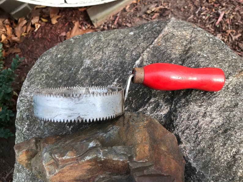 Vintage Horse Curry Comb 1960s From Dustymillerantiques | Etsy