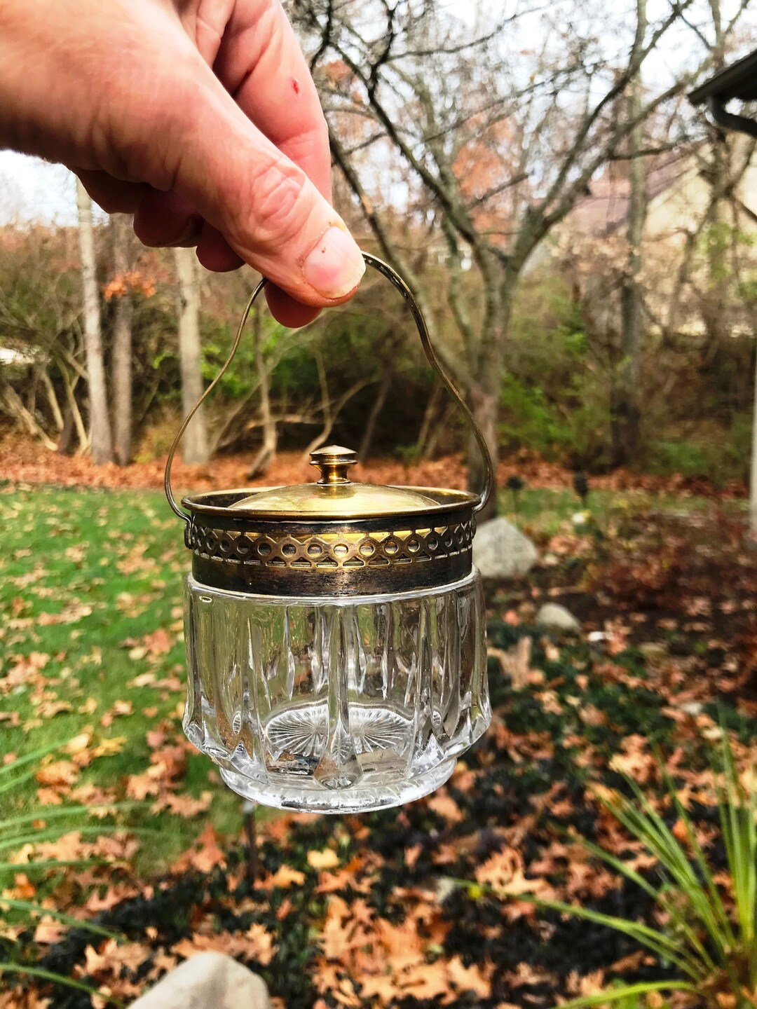 Vintage Fostoria Long Buttress No 1299 Jam Jelly or Mustard Jar With SP ...