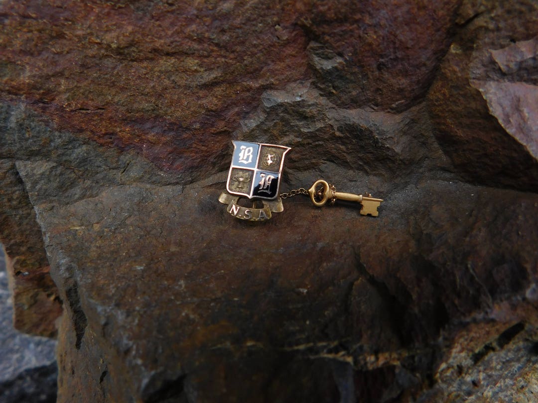 Vintage LGB Balfour 1/20 10K Gold NSA Pin With Key - Etsy