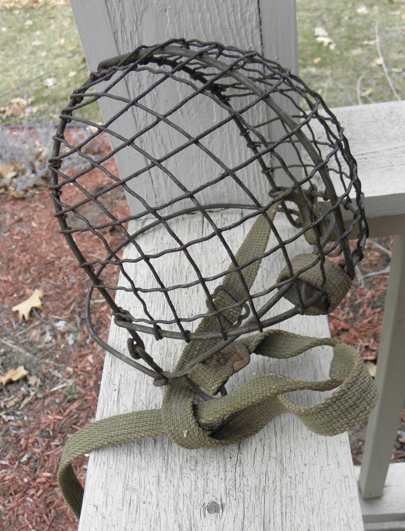 Vintage Wire Mule Horse Cribbing Muzzle Early 1900s From | Etsy