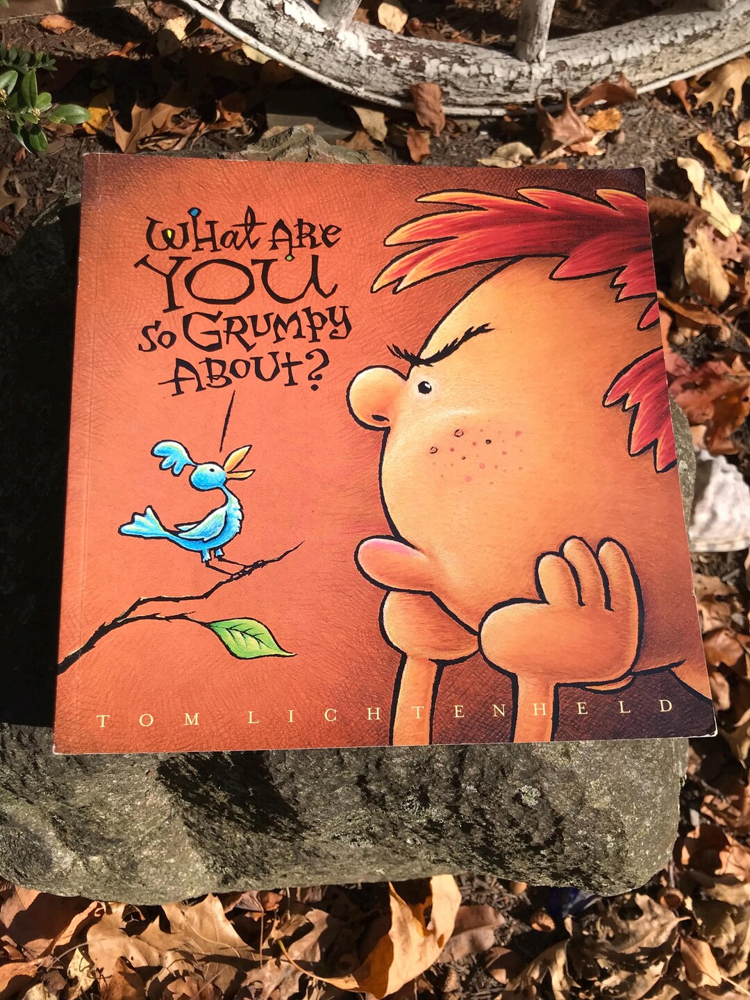 Vintage What Are You so Grumpy About? by Tom Lichtenheld - 2003 - Etsy