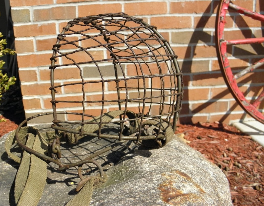 Vintage Wire Mule Horse Cribbing Muzzle - Early 1900s - From ...