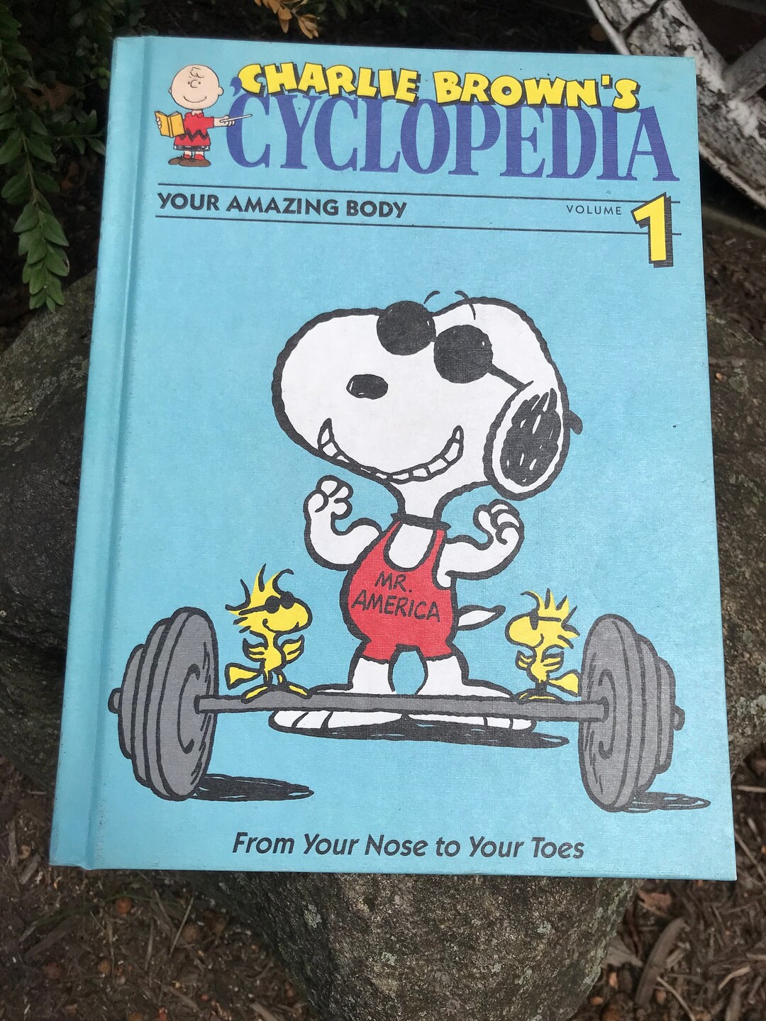 Vintage Charlie Brown's Cyclopedia 1 Your Amazing Body Book - 1990 ...
