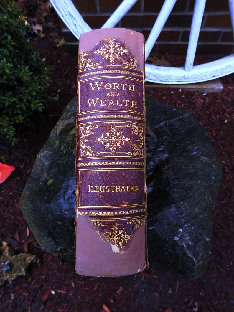Vintage Worth and Wealth Book by T. L. Haines 1884 From - Etsy