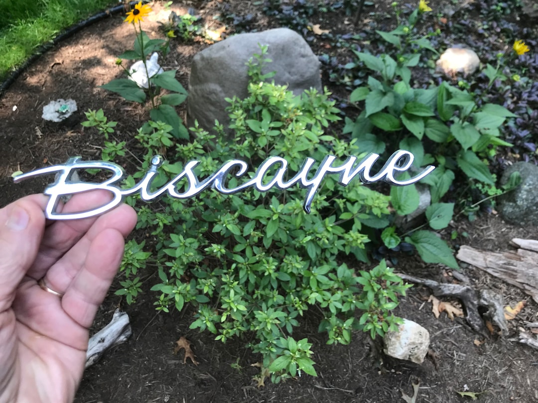 Vintage Chevrolet Biscayne Left Emblem - 1950s - 1960s - From ...