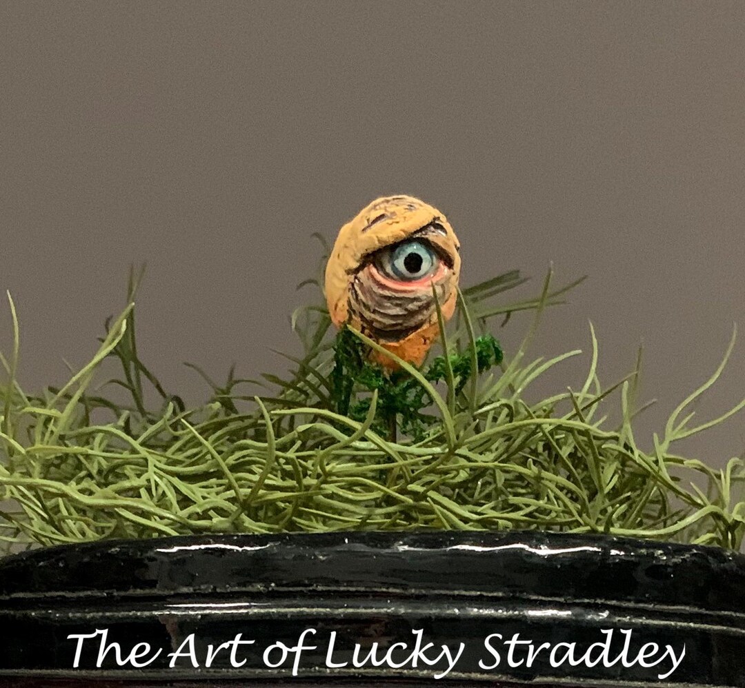 PLANT STAKES -ready to Ship, Hand Sculpted Flower Stake to Keep an "eye ...