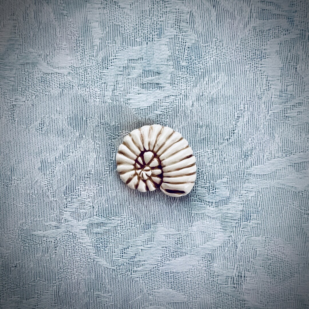 White Ceramic Nautilus Shell for Mosaic Seascape Art, Beach Art Shell ...