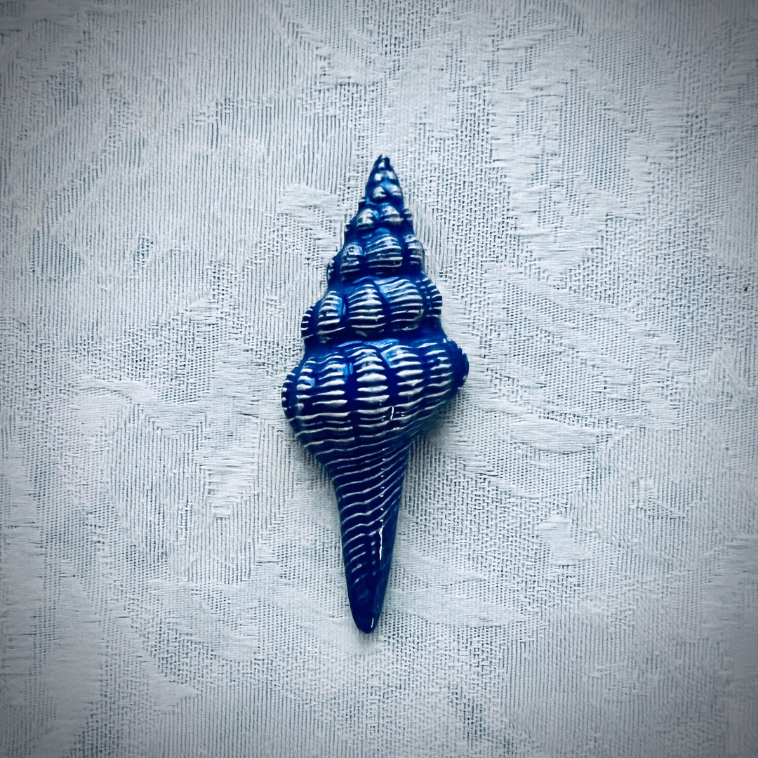 Dark Blue Ceramic Shell for Mosaic Beach Art Seascape Shower - Etsy