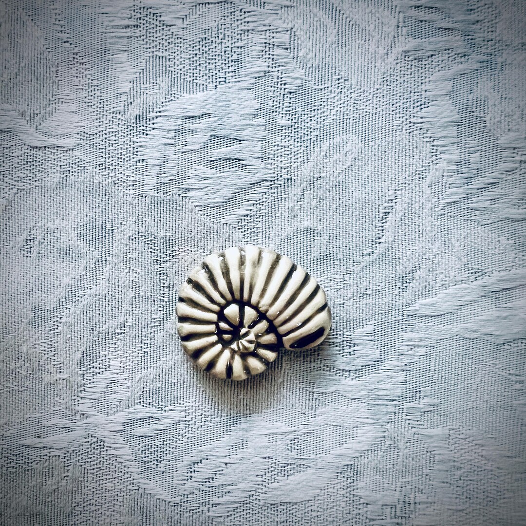 White Ceramic Nautilus Shell for Mosaic Seascape Art, Beach Art Shell ...