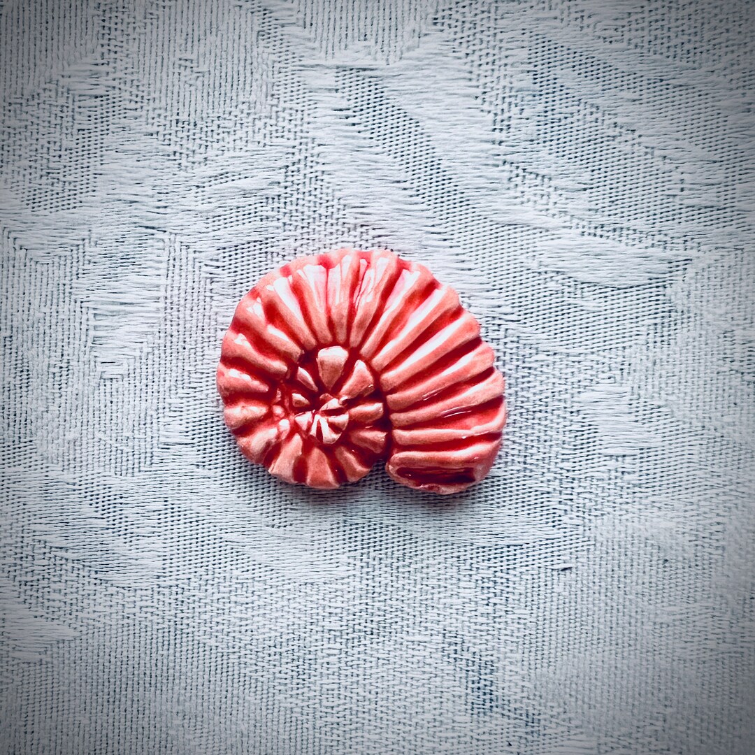 Orange Ceramic Nautilus Shell for Mosaic Seascape Art Beach - Etsy