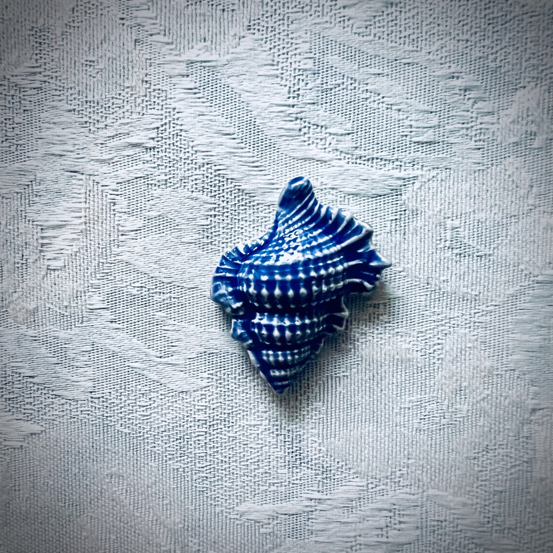 Blue Ceramic Shell for Mosaic Seascape Art, Mixed Media & Sea Life ...