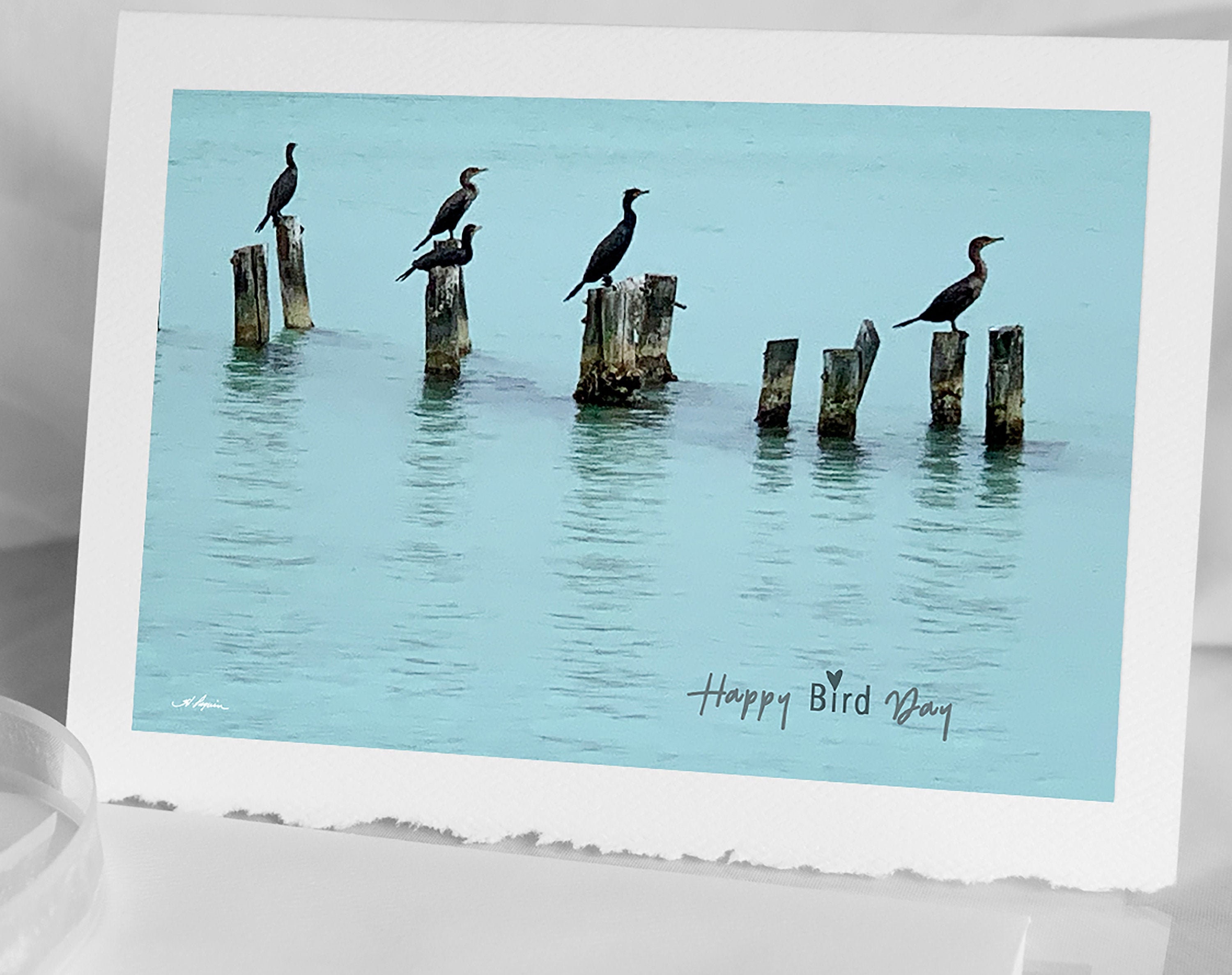 Happy Bird Day Birthday Card for Bird Watcher Lover Nature 4x6 - Etsy
