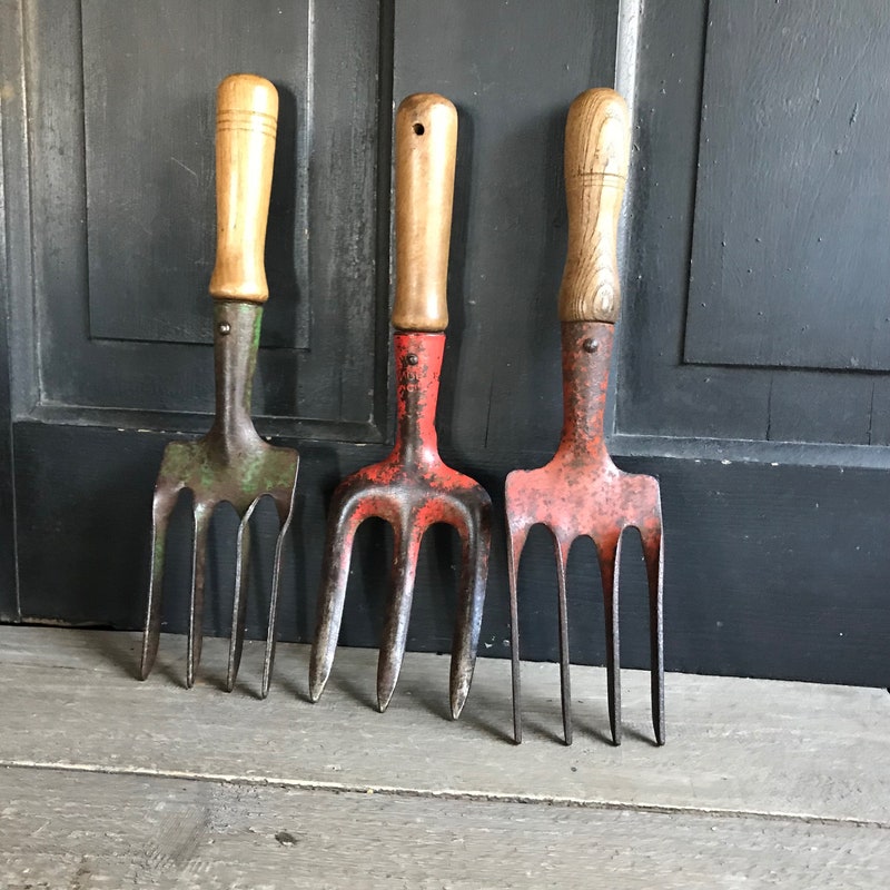 Antique Garden - Etsy