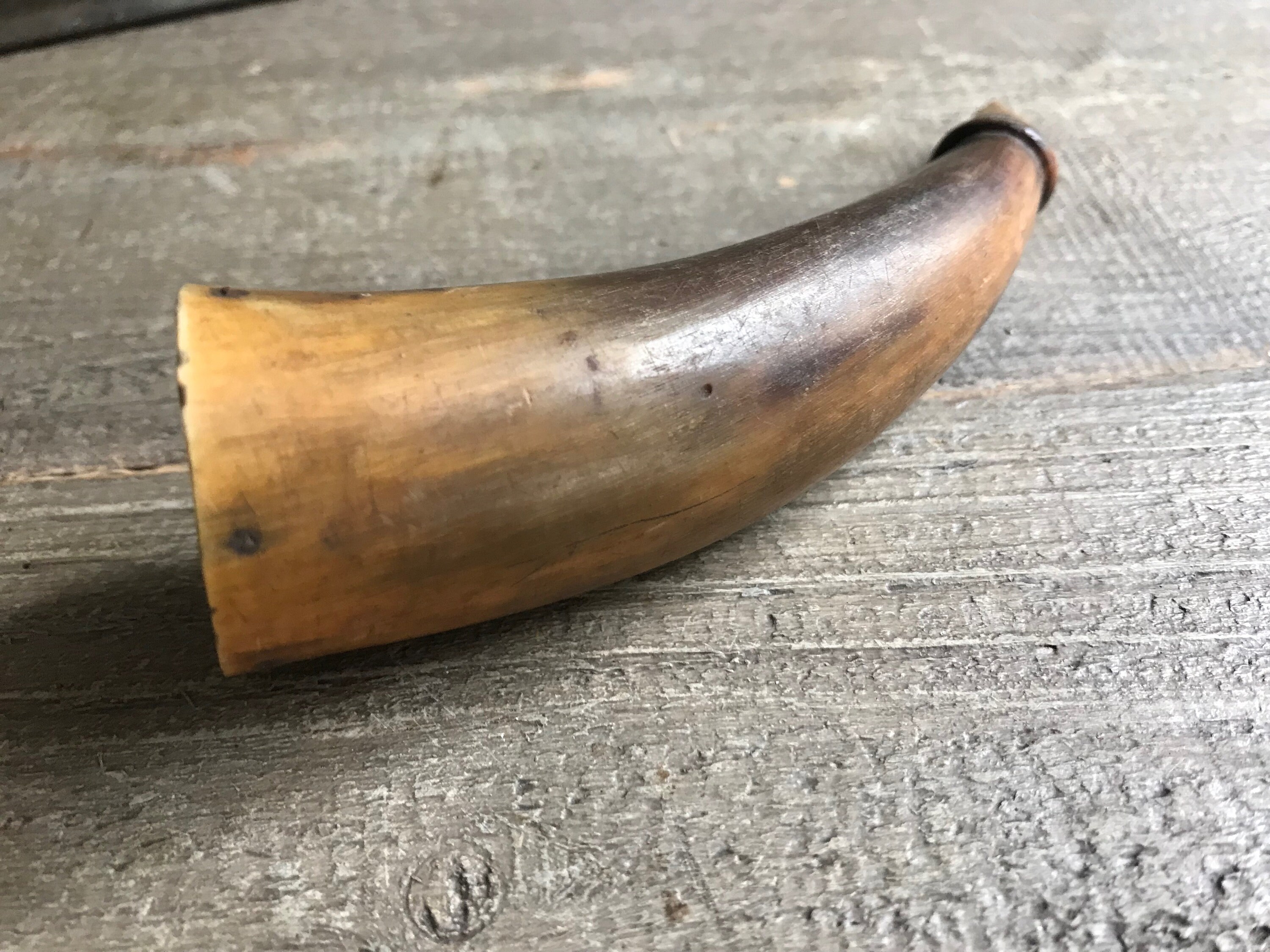 19th C French Powder Horn, Handcarved Wood Stopper, Small 5 Inch - Etsy