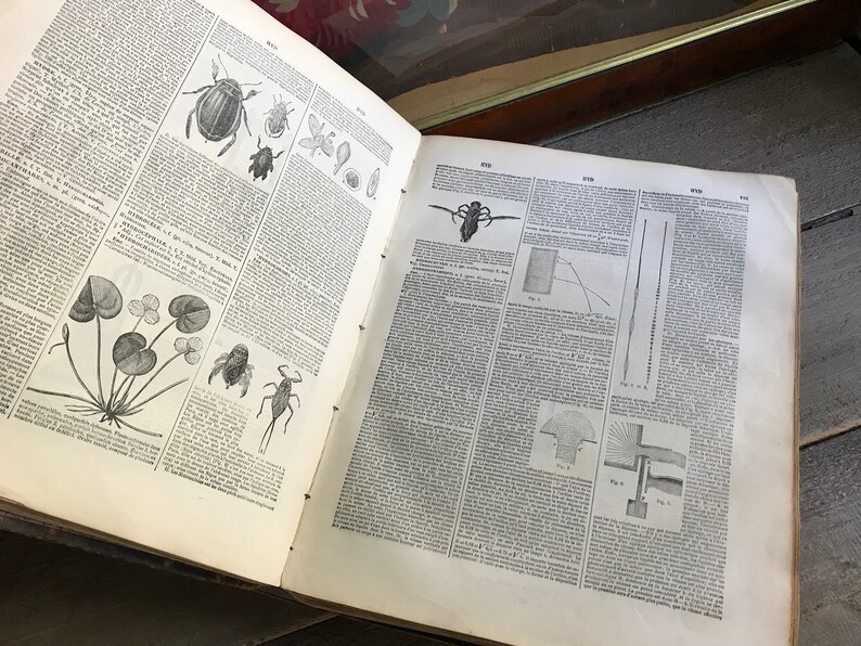 1867 French Leather Dictionary, Large Size, Dictionnaire François ...