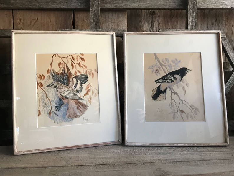 1935 Original Watercolor Painting Birds Signed R Ziegler | Etsy