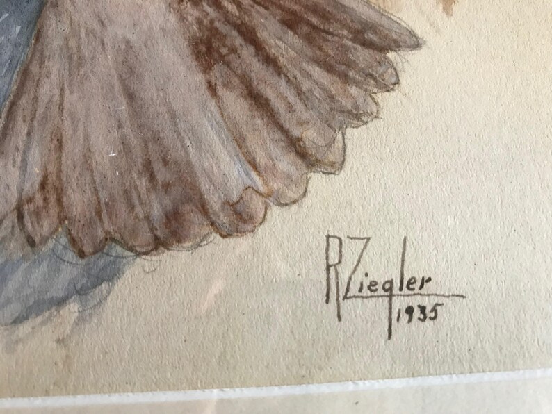 1935 Original Watercolor Painting Birds Signed R Ziegler - Etsy