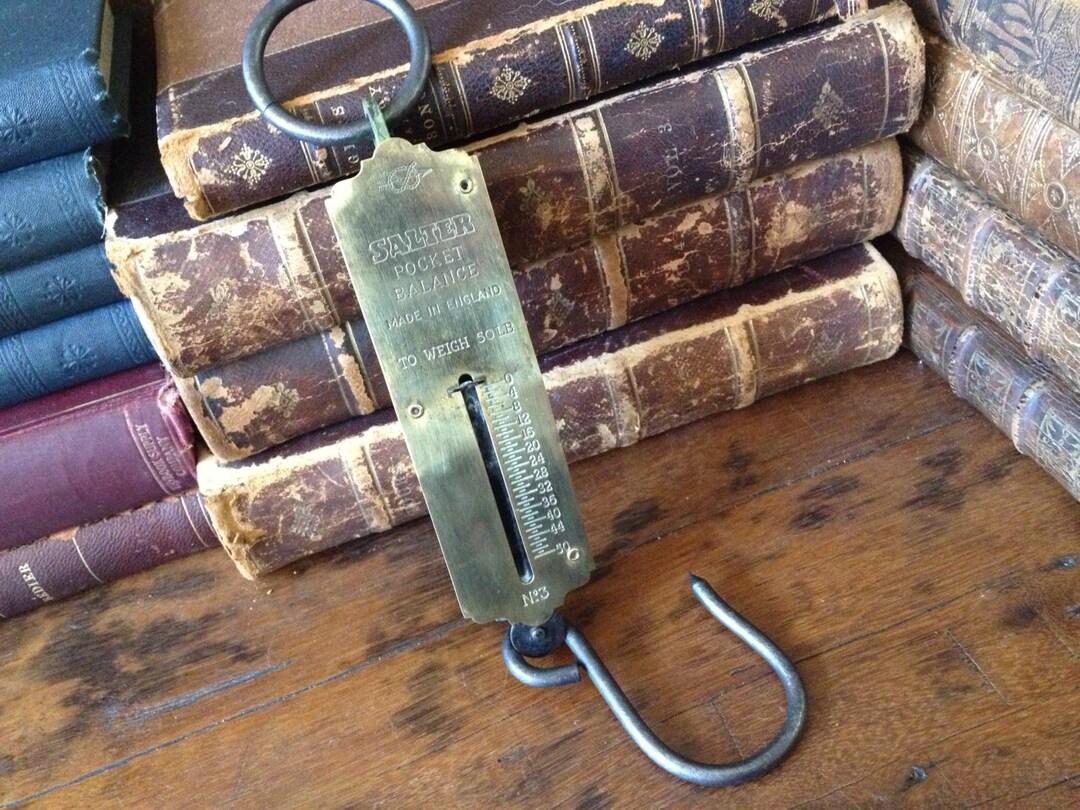 Salter Fish Scale 50 LB, Made in England, Brass Pocket Balance - Etsy