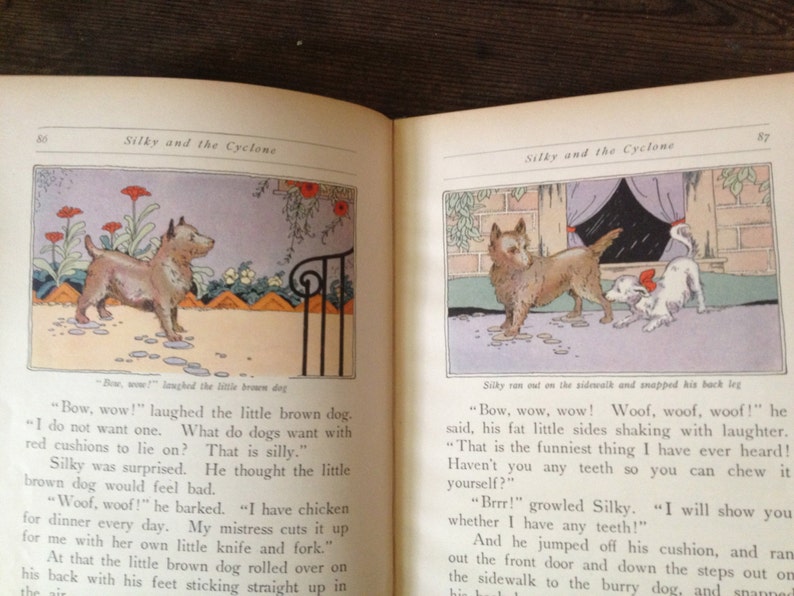 Childrens Book 1924 the Little Pink Pig Big Road Illustrations - Etsy