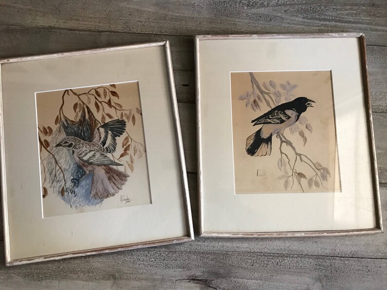 1935 Original Watercolor Painting Birds Signed R Ziegler | Etsy