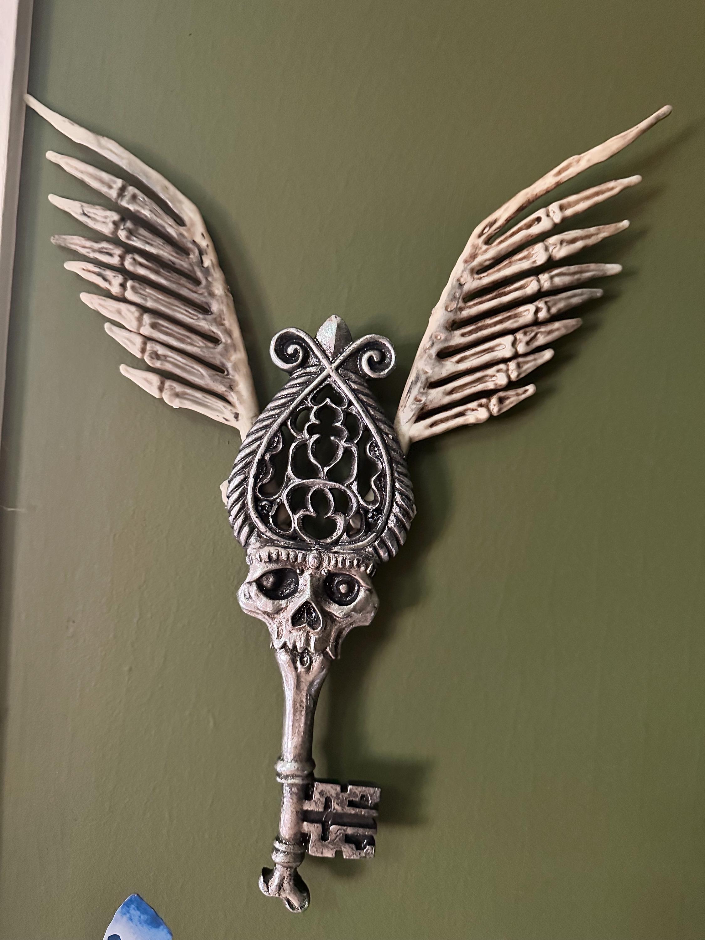 Open Your Doors With the Skeleton Key With Wings. No Door Out of Reach ...