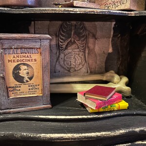 Miniature Wardrobe Bookshelf Loaded With Spell Books, Shrunken Heads ...