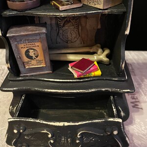 Miniature Wardrobe Bookshelf Loaded With Spell Books, Shrunken Heads ...