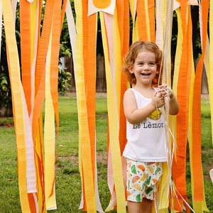 Oranges Banner, Fruit Stand Banner Tangerine Orange Banner Garland ...