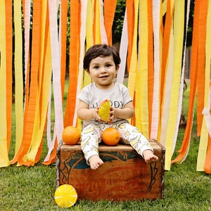 Oranges Banner, Fruit Stand Banner Tangerine Orange Banner Garland ...