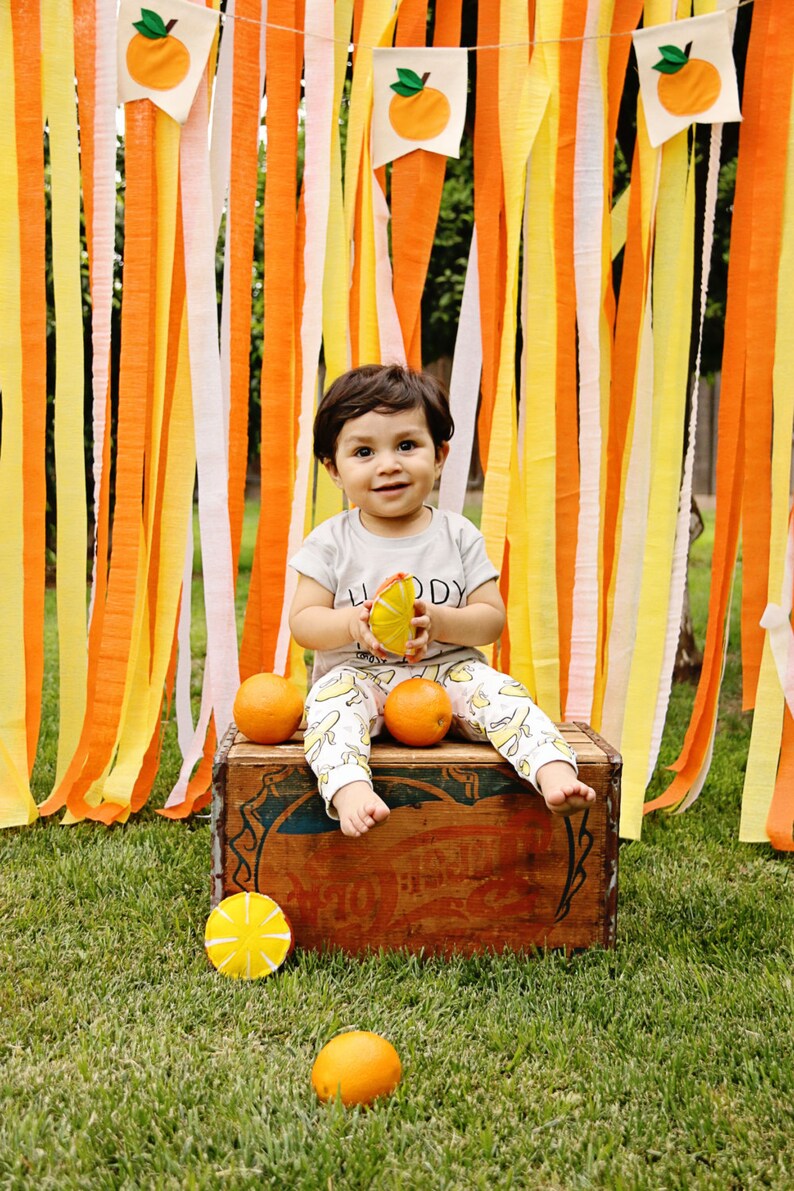 Oranges Banner, Fruit Stand Banner Tangerine Orange Banner Garland ...