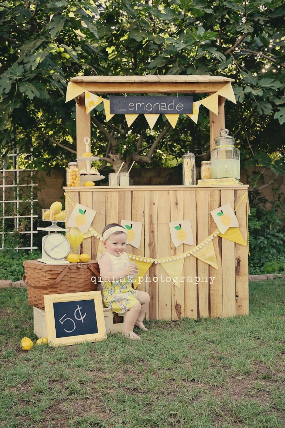 Lemon Banner, Lemonade Stand Banner Canvas Lemonade Stand Garland ...
