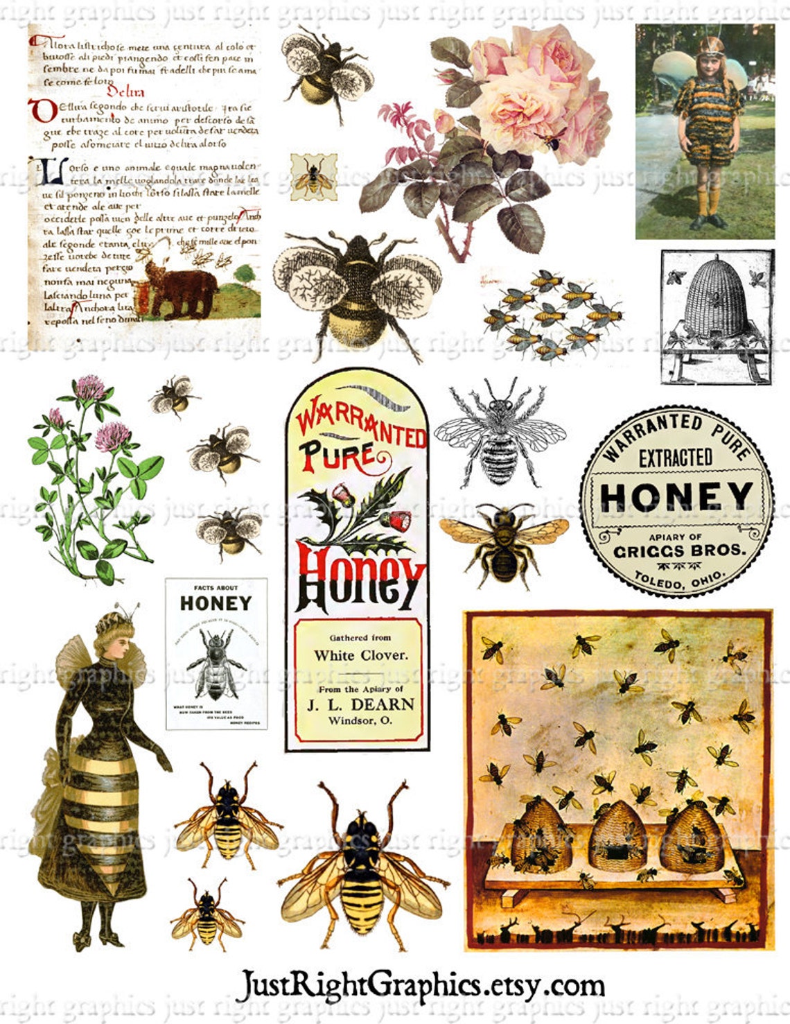 Vintage Bees Clip Art Digital Collage Sheet Art Journal - Etsy
