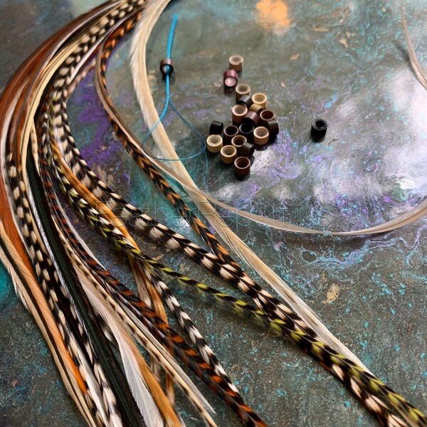 Loose Feathers - Etsy