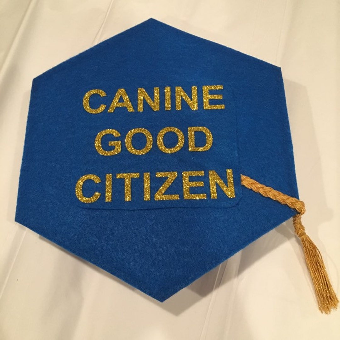 Canine Good Citizen CGC Hexagon Tam / Graduation Cap - Etsy