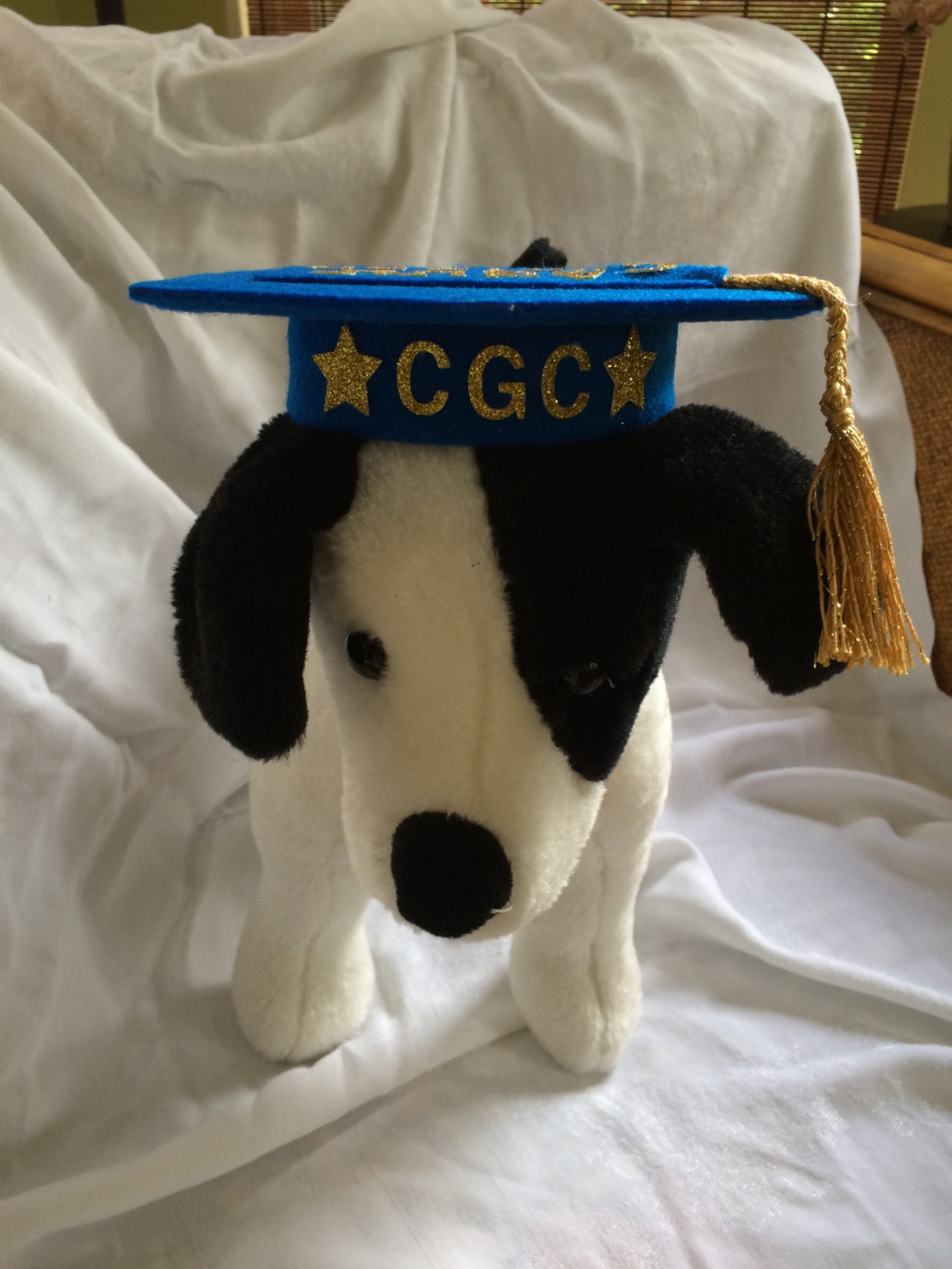 Canine Good Citizen CGC Hexagon Tam / Graduation Cap - Etsy