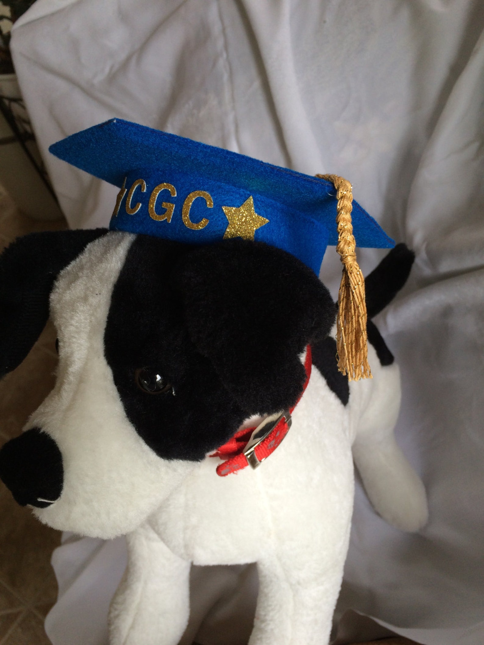Canine Good Citizen CGC Hexagon Tam / Graduation Cap - Etsy
