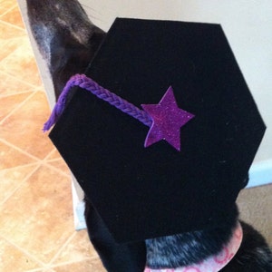 Dog Trainer's Set of 3 Hexagon Tams / Graduation Caps - Etsy