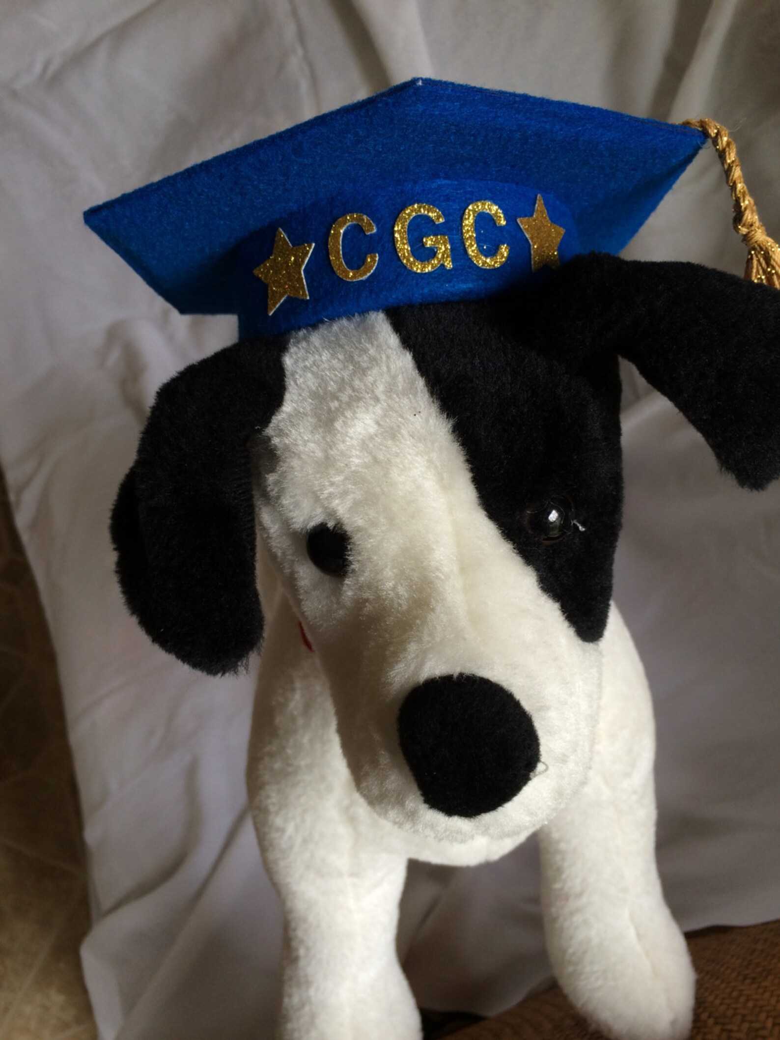 Canine Good Citizen CGC Hexagon Tam / Graduation Cap - Etsy