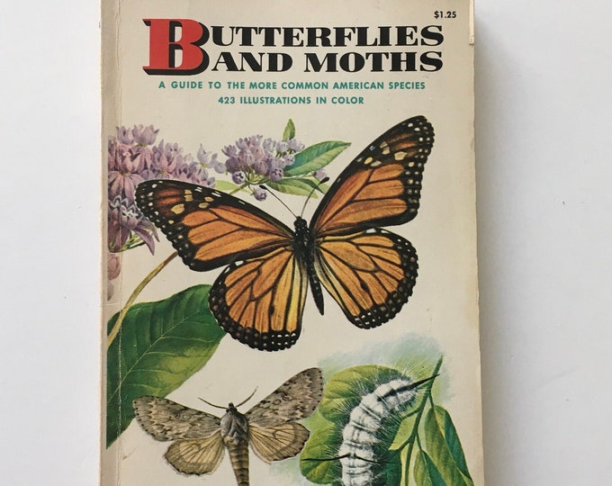 Butterfly Book / Vintage Golden Guide Butterflies and Moths 24413 W ...