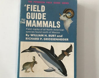 Vintage Field Guide - Etsy