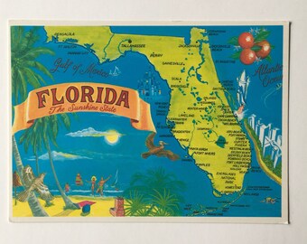 Florida postcard | Etsy