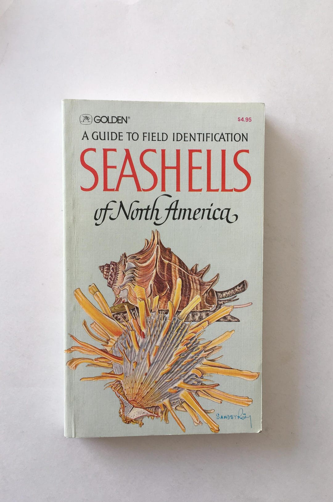 Golden Field Guide / Vintage SEASHELLS of North America A Guide to ...