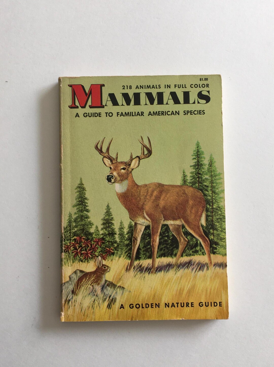 Mammals Book / Vintage MAMMALS Golden NATURE Guide #24497 W/color ...