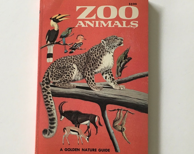 Animal Book / Vintage ZOO Animals Golden NATURE Guide 24019 W/color ...