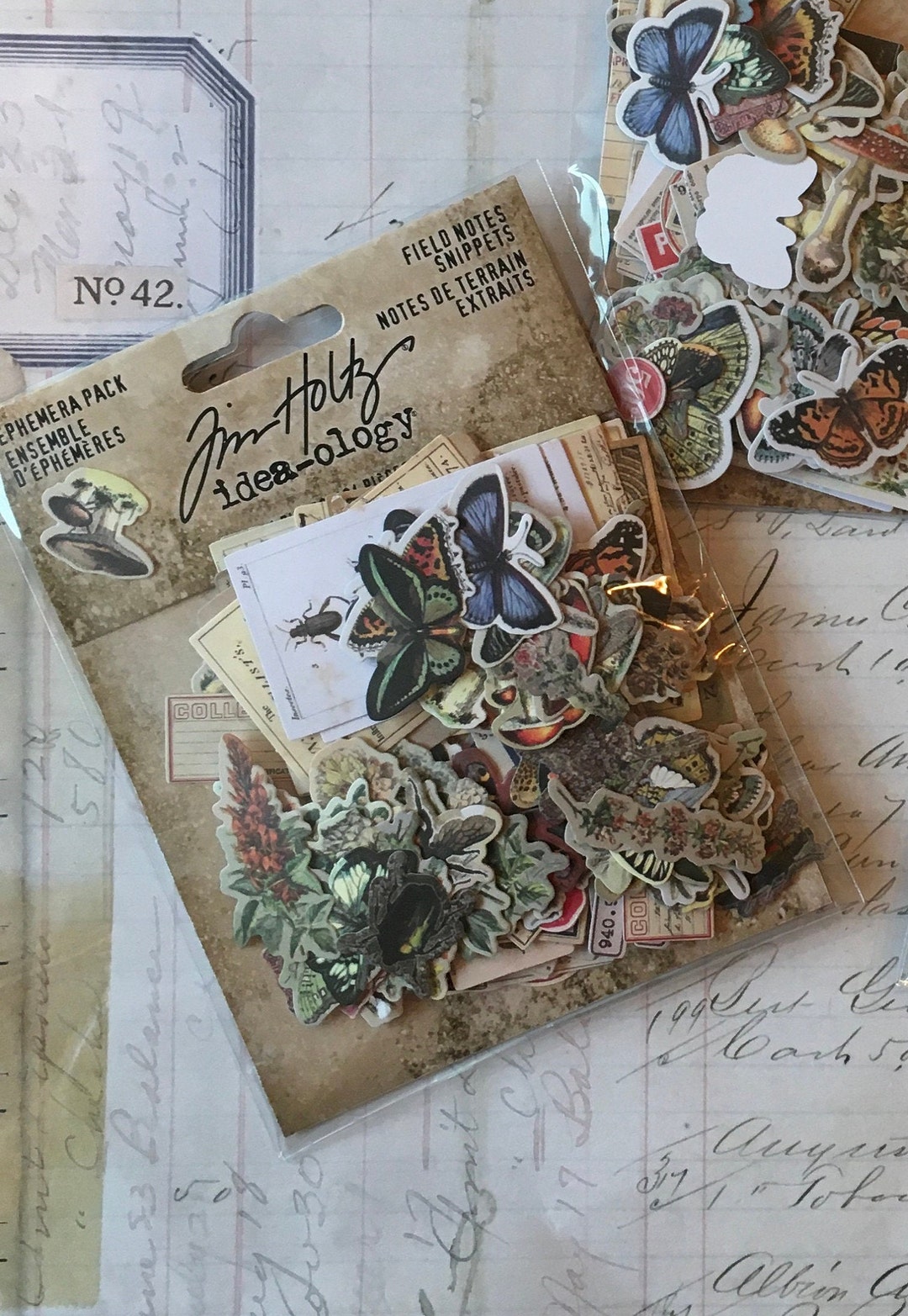 Field Note Snippets / 134 Pc. Scrap Pack by Tim Holtz Field Note ...